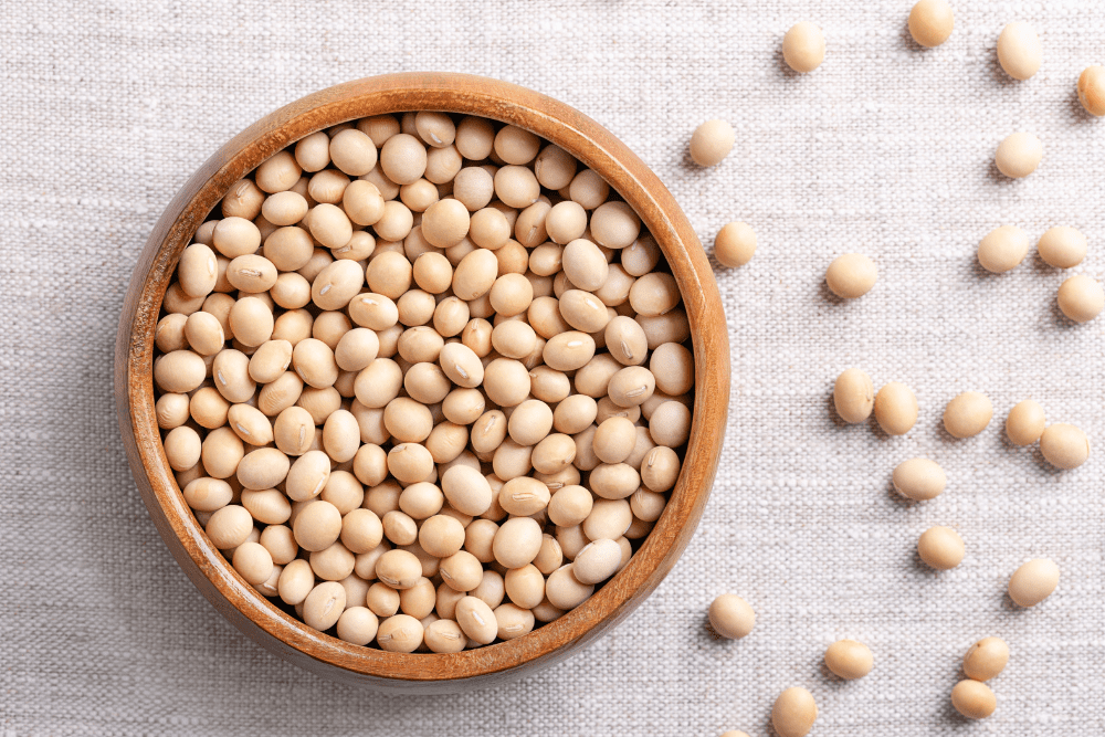 The 12 Deadliest Foods Around the World