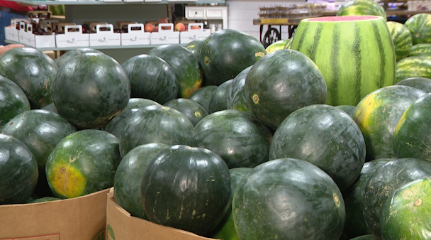 Nelson Produce Farm celebrates 7th annual Watermelon Festival