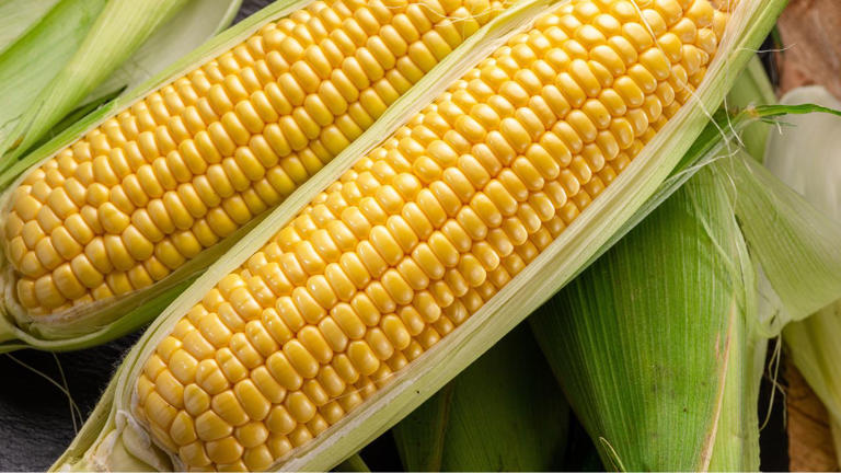 Did 'primordial' black holes born right after the Big Bang help our ...