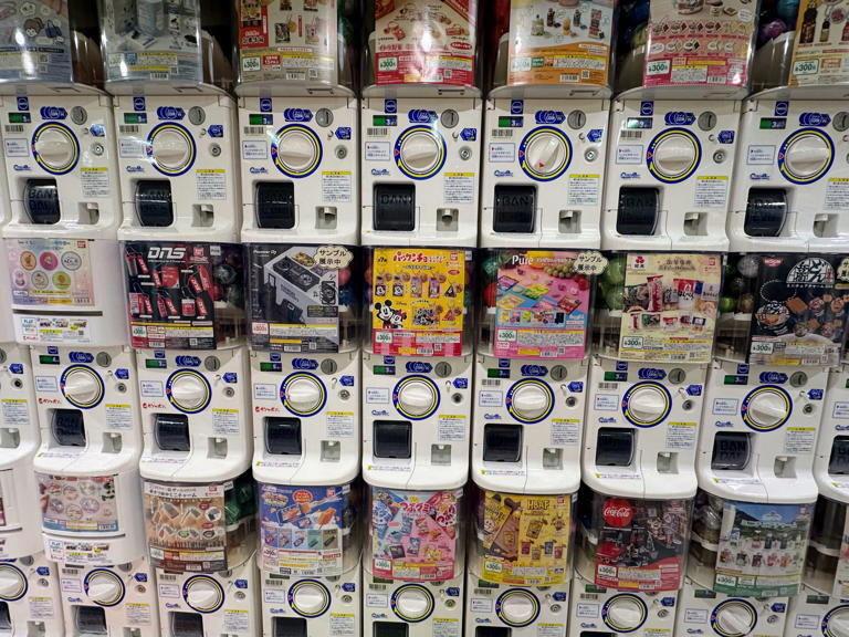 All Aboard the Adventure: Why Trains in Japan Are Pure Family Magic