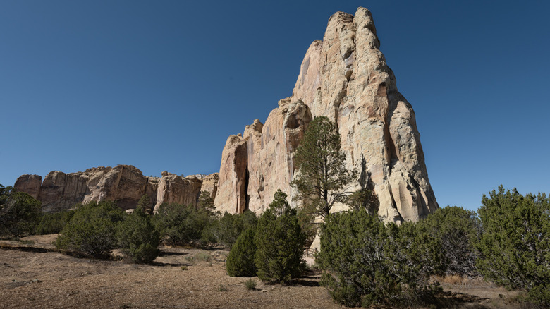 Kate Middleton Vs Pippa Middleton: The Difference Between Their ...