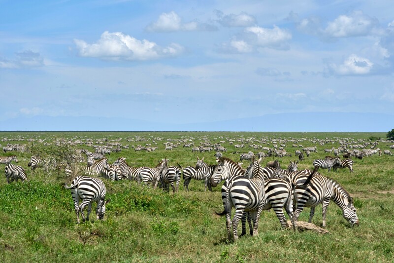 11 Must-Visit UNESCO World Heritage Sites