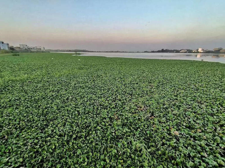 Govt sanctions 430 cr for new bridge across Mir Alam Tank