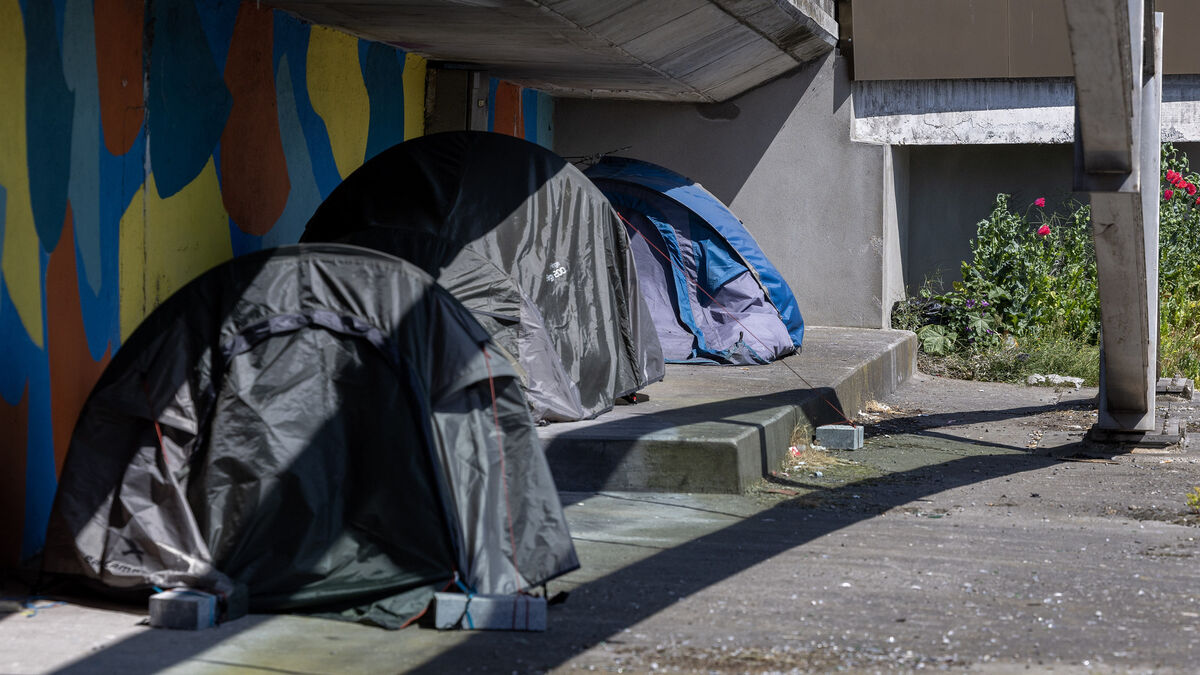 Homeless tents slashed in Dublin in rising ‘hate crime’ attacks, says ...