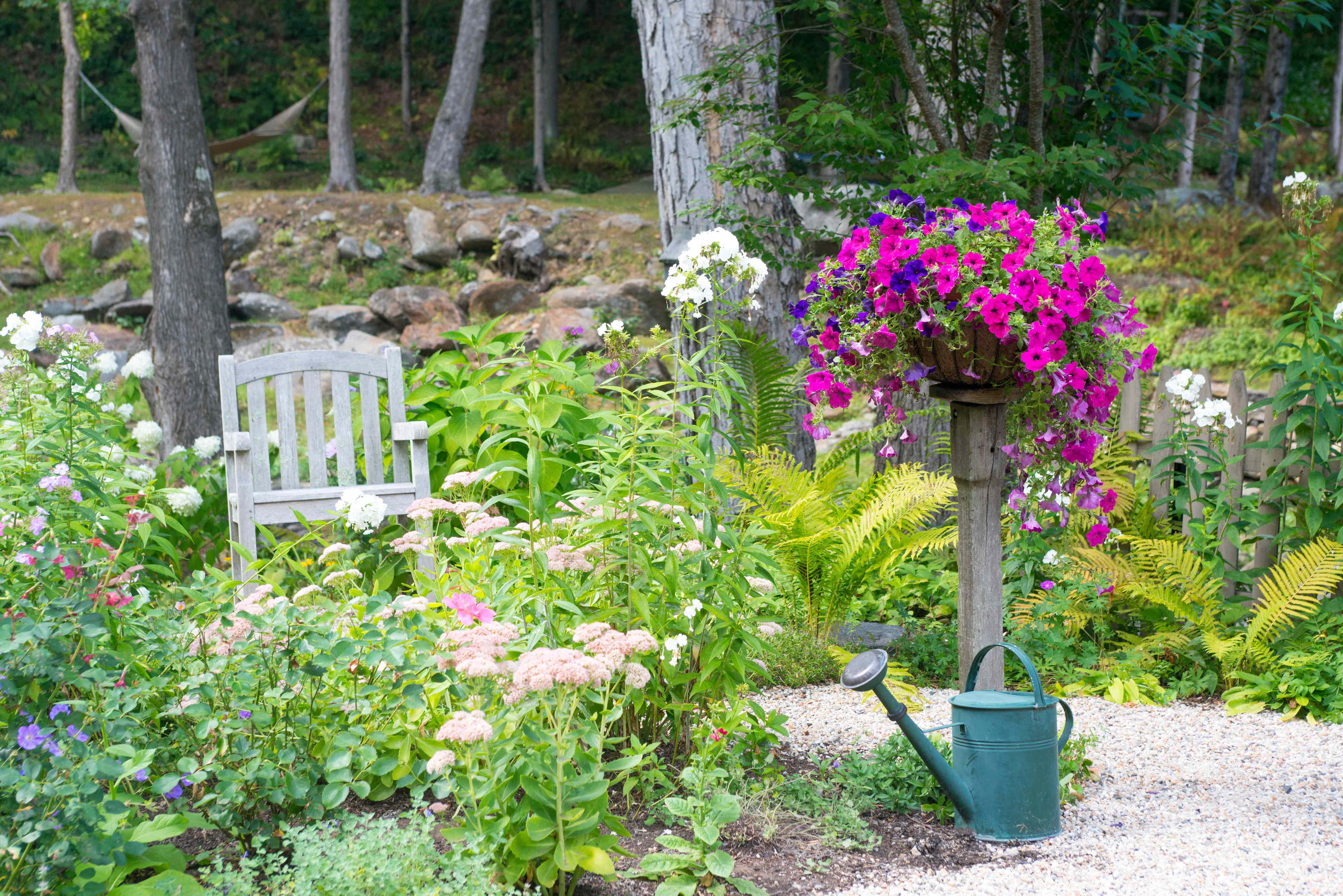 6 Common Mistakes That Waste Water in Your Garden—Plus, What to Do Instead
