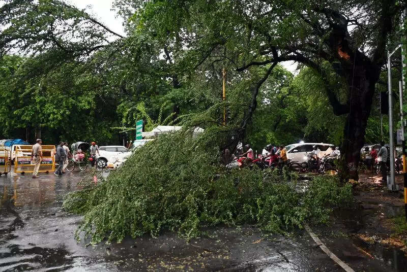 Thunderstorm causes widespread power outages