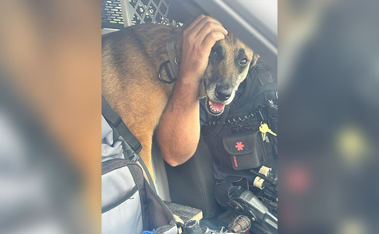Longtime KCPD K-9 bomb unit retiring after seven years on the job