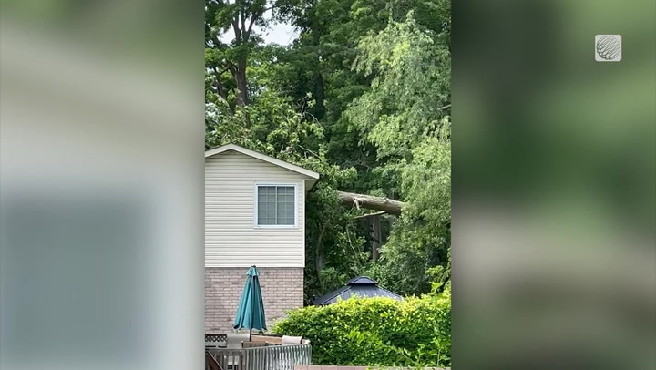Big tree falls on house after storm
