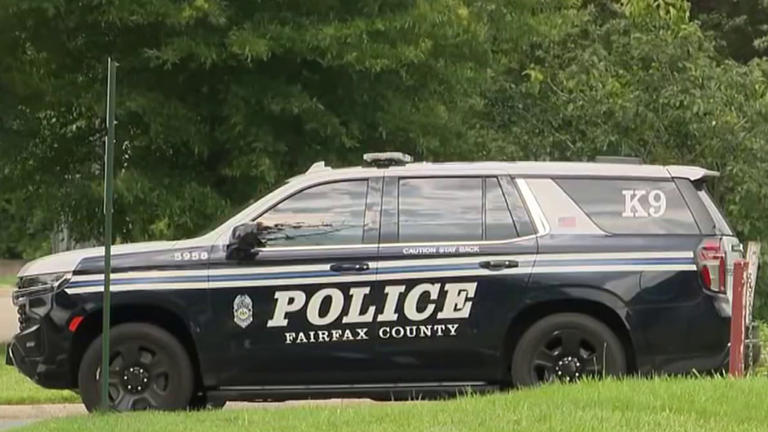 Calif. man pleads guilty to $50K Pokémon heist at friend's Va. home