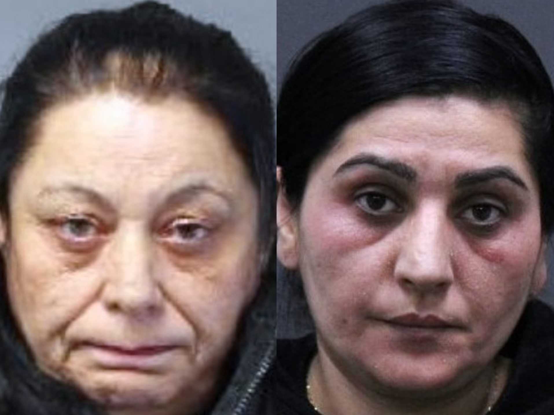 Two women wanted for distraction theft at west end retail store