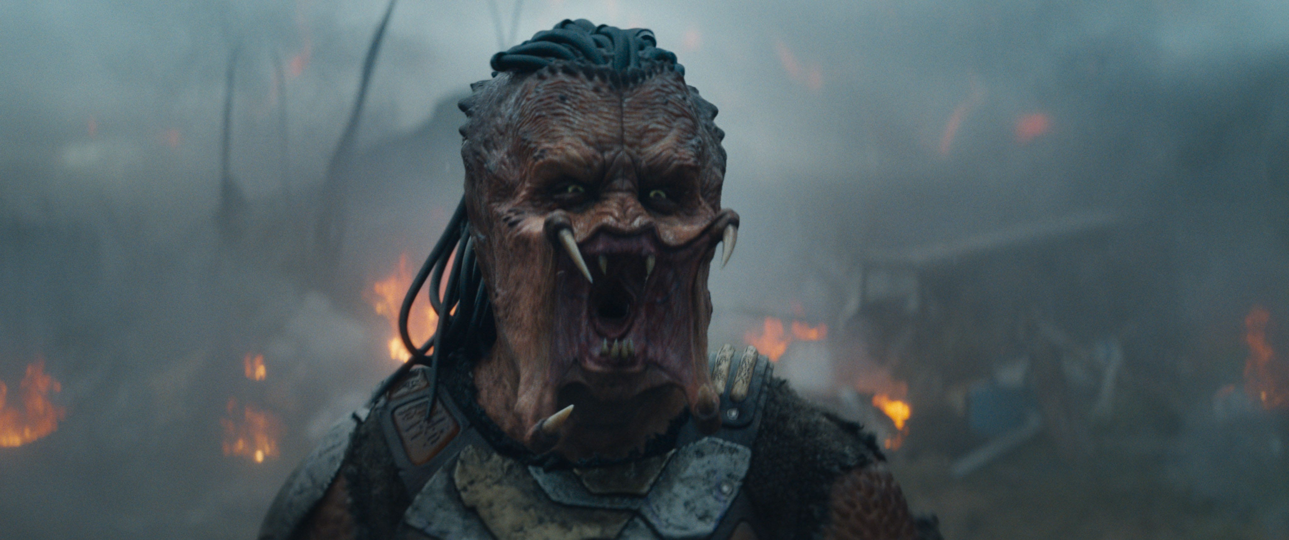 'Predator: Badlands' director plans to 'cook up' Schwarzenegger's return