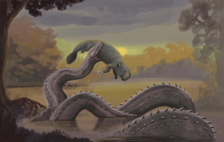 Scientists discover colossal 50-foot long snake from 47 million years ago