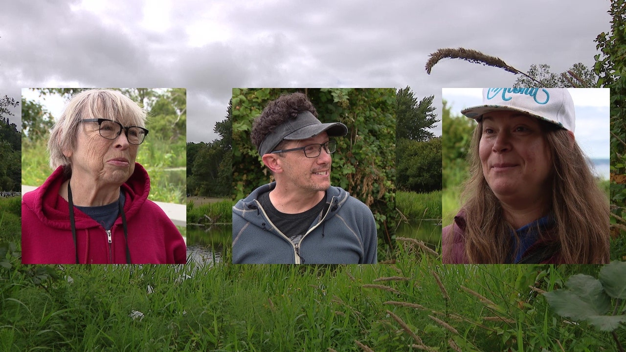 WA wildlife officials investigate bear sighting report at Golden Gardens Park