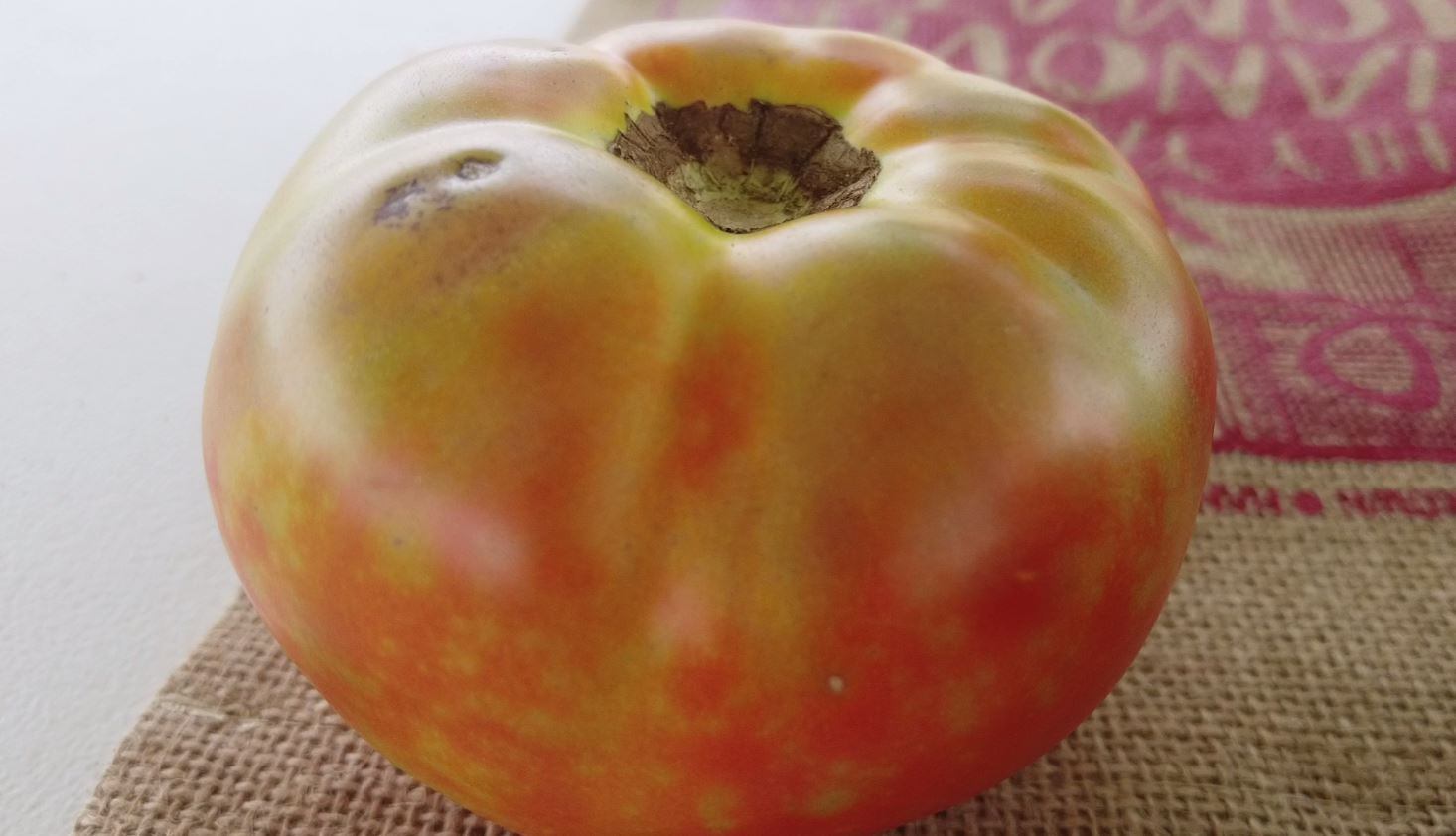 3rd annual Homegrown Tomato Contest in Calvert City