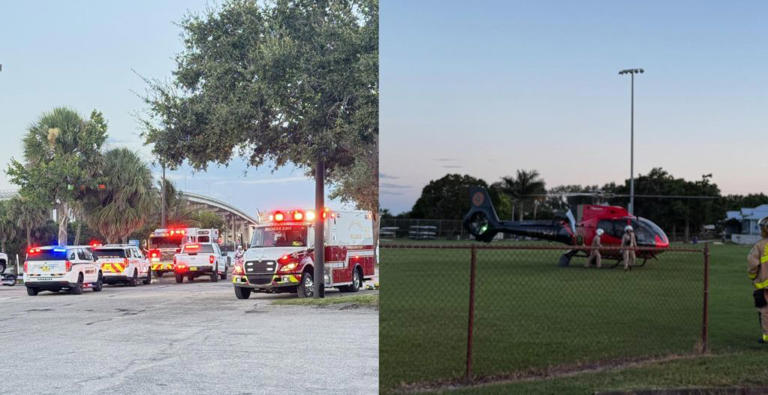 Woman Survives After Alligator Bites Her Hand and Drags Her Underwater