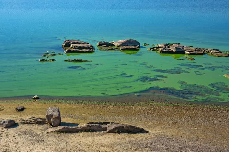 Is your lake safe? Algae warnings issued across Kansas