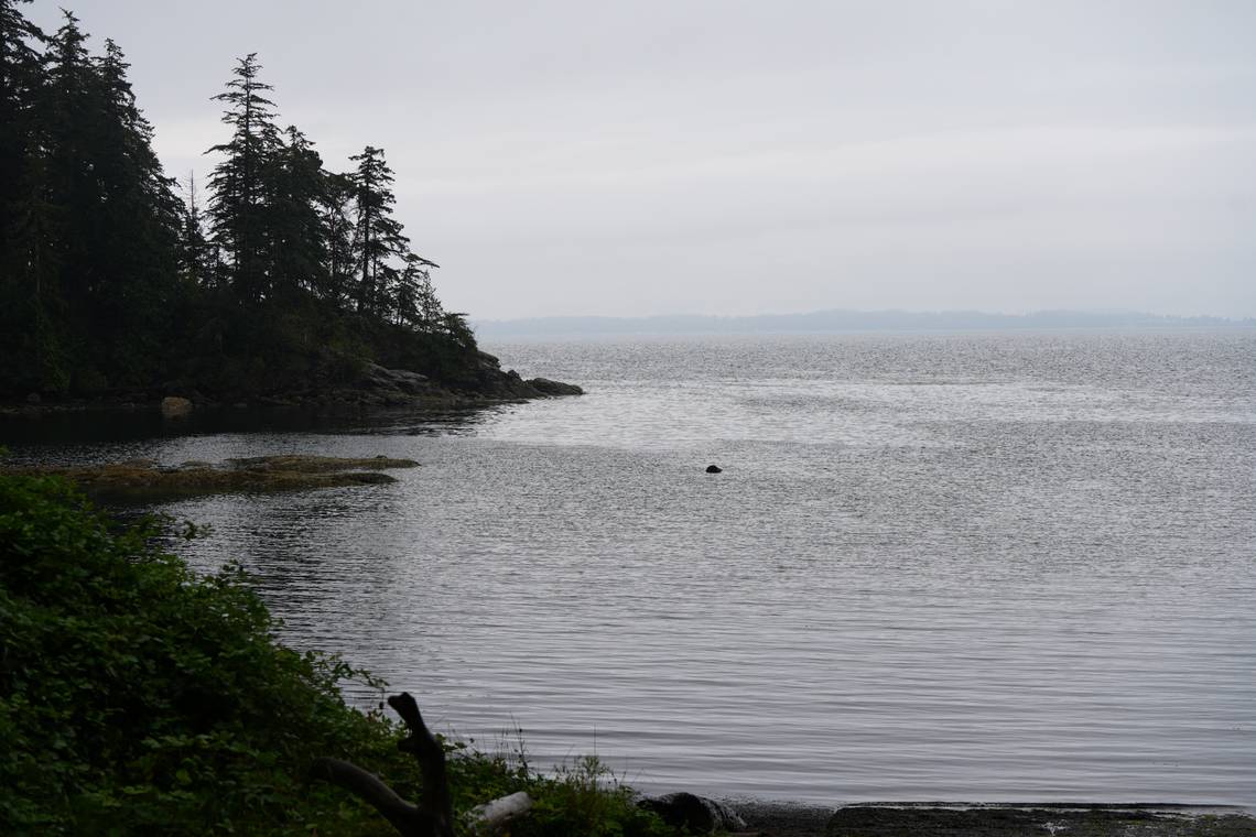 Swimming warning in place for Larrabee State Park, Wildcat Cove