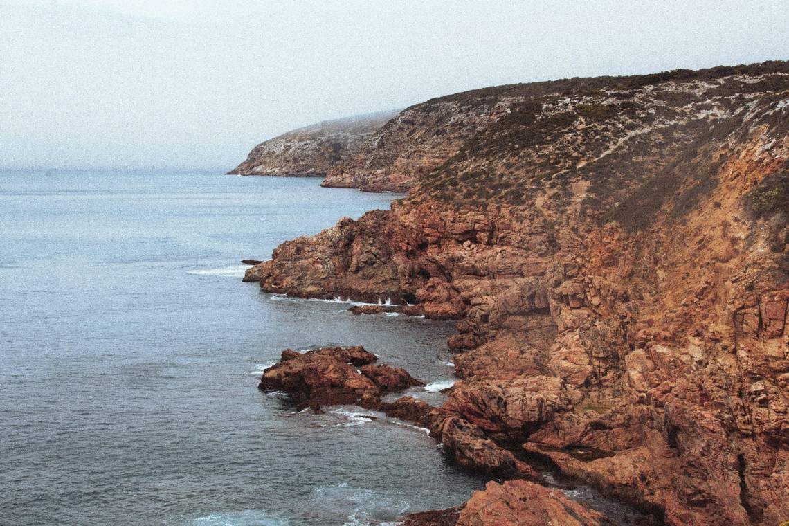 Dolphin was wrapped ‘head to tail' in fishing line for weeks. See the ...