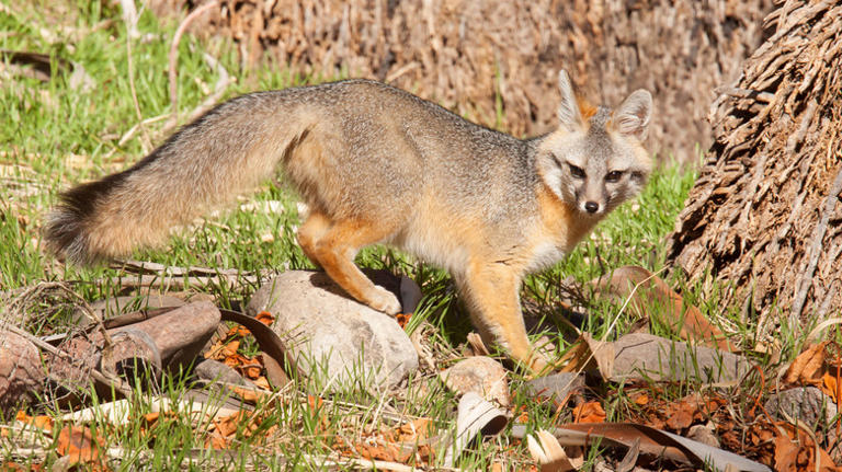 Arizona's Natural Oasis Near Wickenburg Has A Special, Breathtaking ...