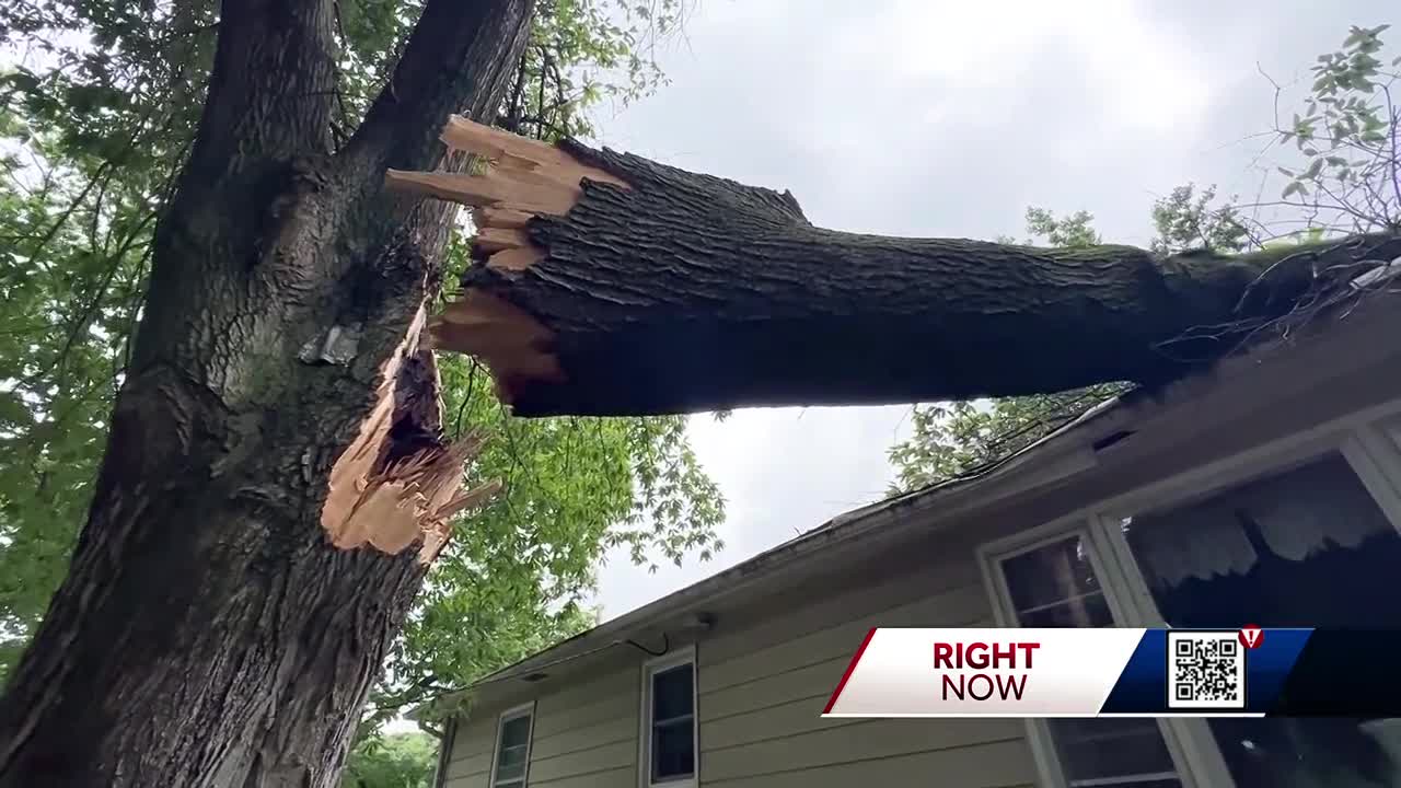 KCK couple shocked after tree crashes through roof