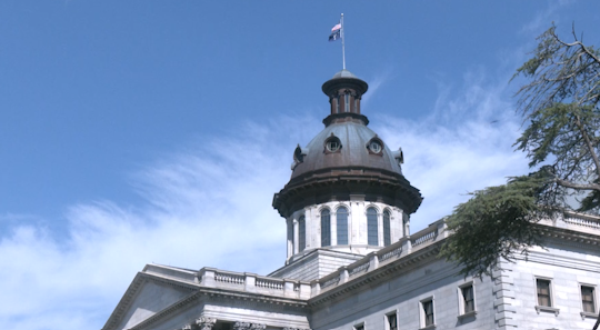 SC Senator: House leaders said ‘DOGE bill has momentum’