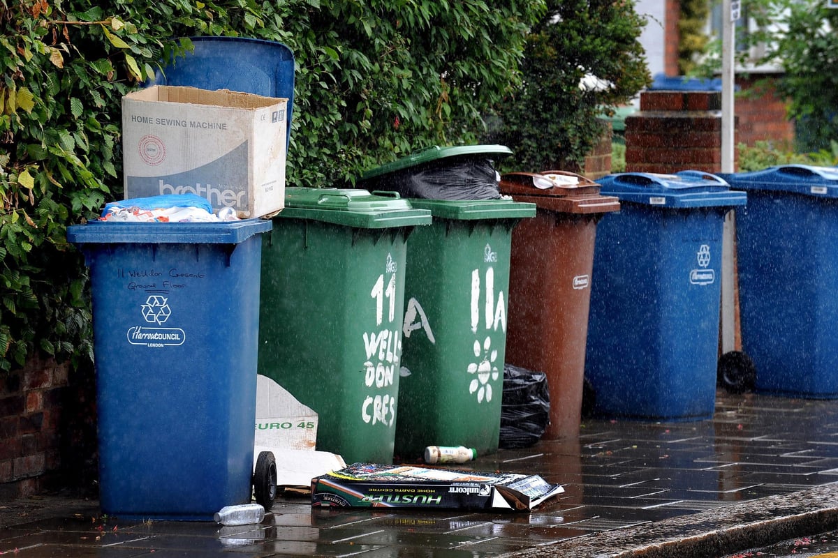New recycling bin rules for 2026 - what Londoners need to know