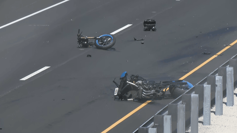 Meet Snickers! News 19’s Adoptable Pet of the Week