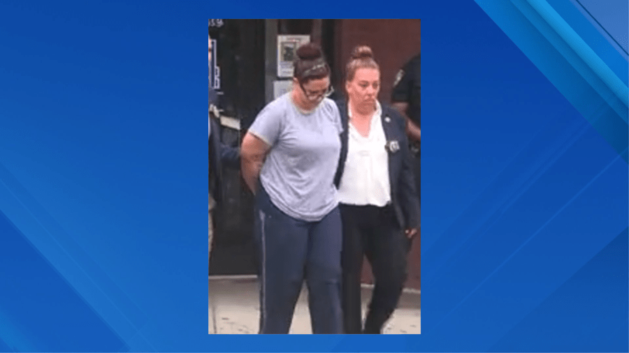 Bronx Mom Arrested For Murder 5 Years After Newborn Twins Found Dead
