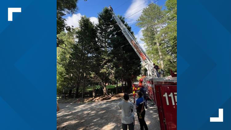 Firefighters help rescue 6-year-old who climbed 60-foot tree | Photos
