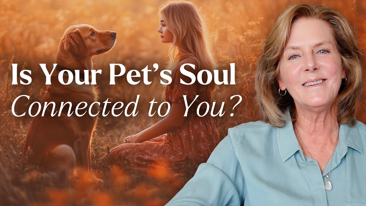 How to Know Your Pet’s Soul is Connected to Yours (12 Signs of Pet Soul ...