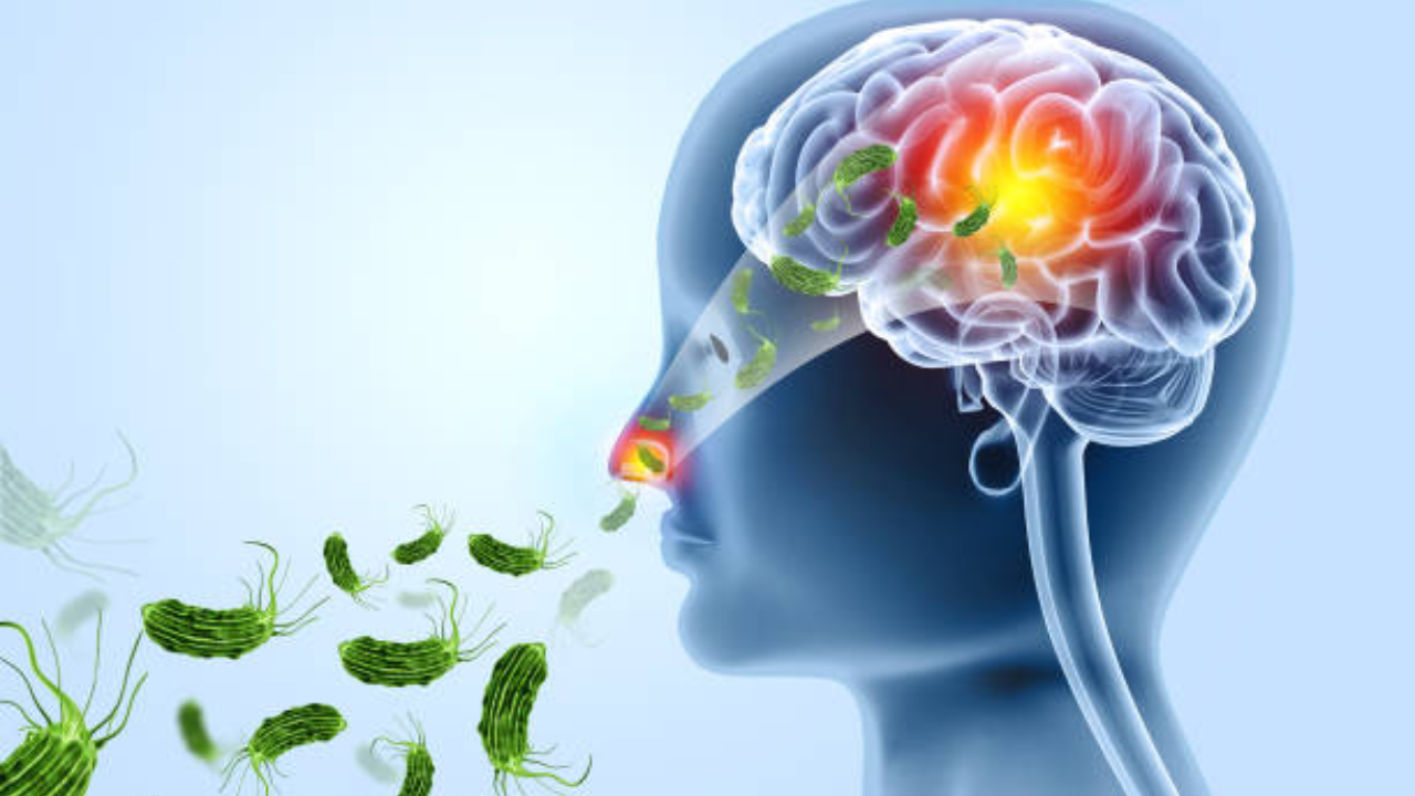 Brain-eating amoeba case in the US: The first symptoms you should never ...