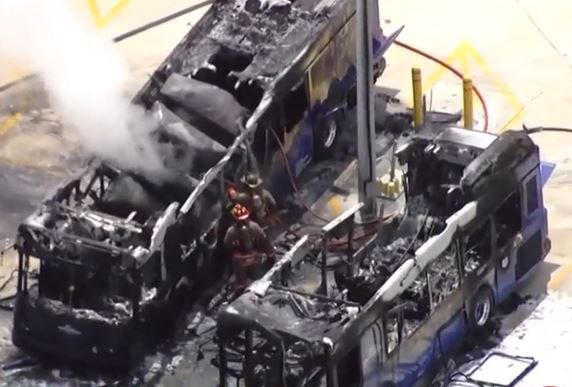 Two Buses Destroyed In Fire At Univeral Orlando Florida