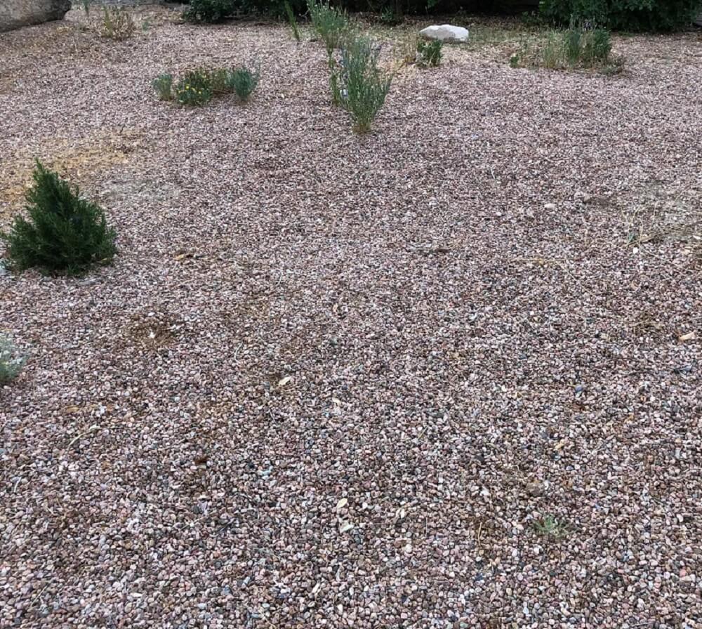 Gardener shares pretty before-and-after photos of yard transformation ...