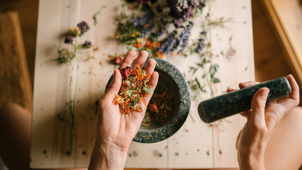 Ancient healing, modern proof: How traditional remedies are backed by ...