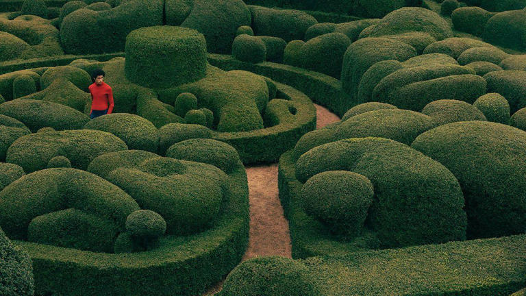 Your Evo 2025 Viewing Guide: Streams, Schedule, All Games