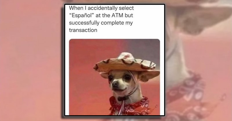 ‘I smiled…’: 23 Comedic memes that satisfy your need for a laugh