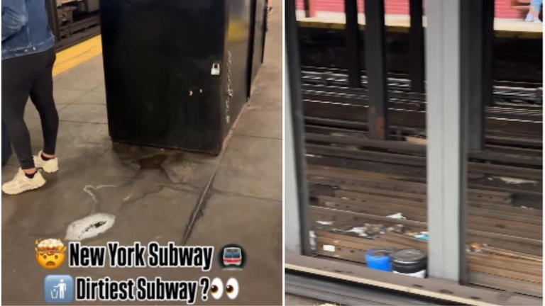 Indian vlogger's 'dirty New York Subway' video goes viral