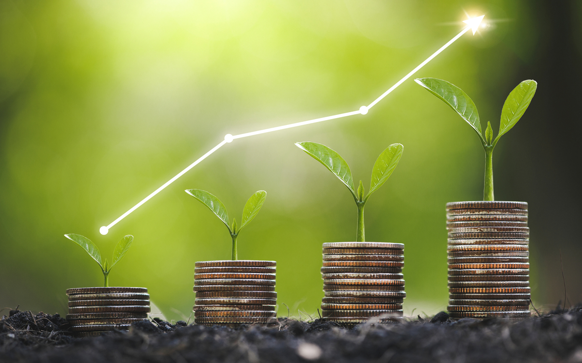 3 Brilliant Growth Stocks to Buy Right Now