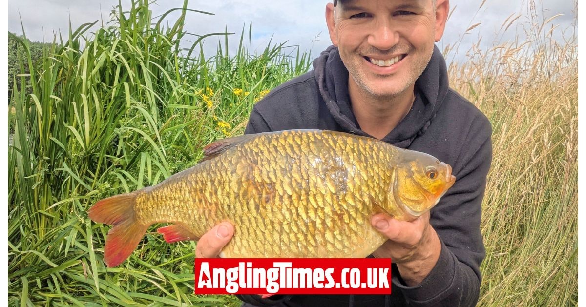 Angler waits over a decade for huge river rudd