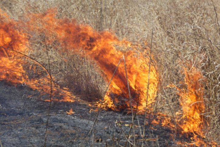 IPMA alerta para perigo máximo de incêndio em cerca de 50 concelhos ...