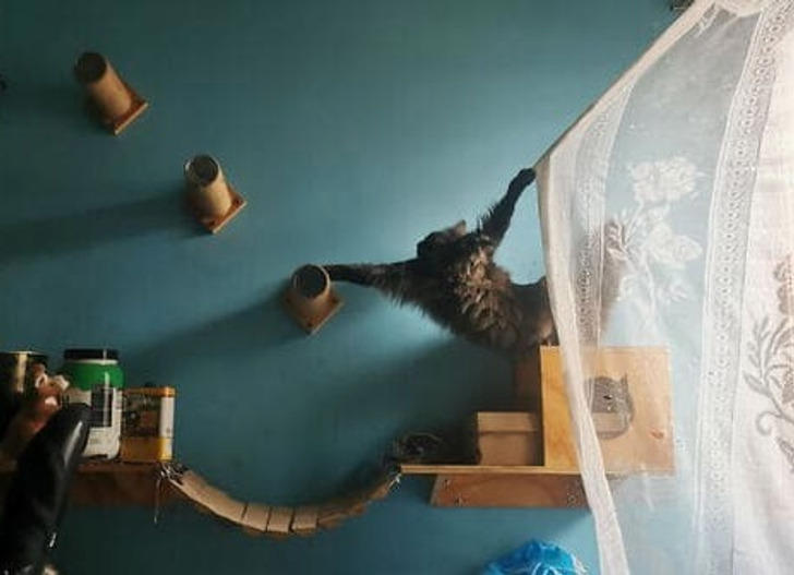 20+ Random Shots That Belong in an Art Gallery