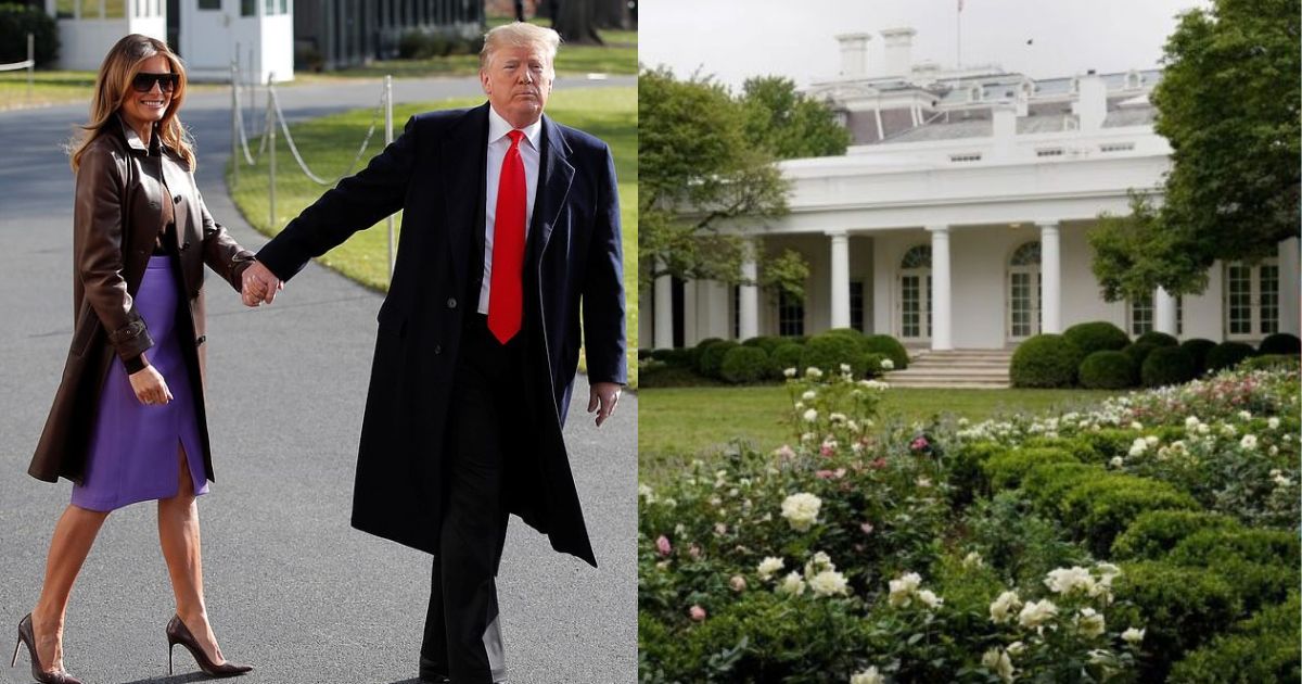 Donald Trump and Melania Slammed Over White House Rose Garden Redesign ...