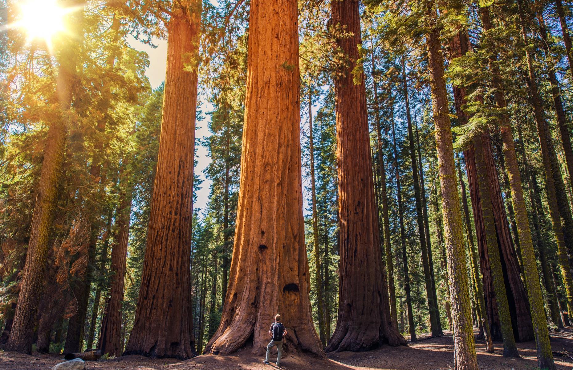 California’s Top 50 Bucket-List Attractions, Ranked