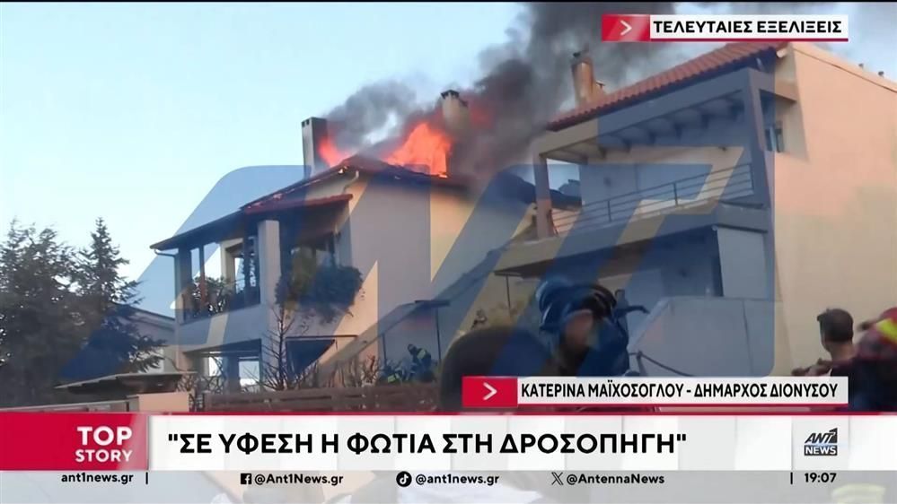 Η δήμαρχος Διονύσου στον ΑΝΤ1
