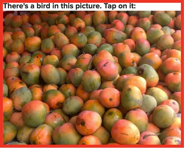 Sorry, But Only People With Perfect Eyesight Will Be Able To Find The ...