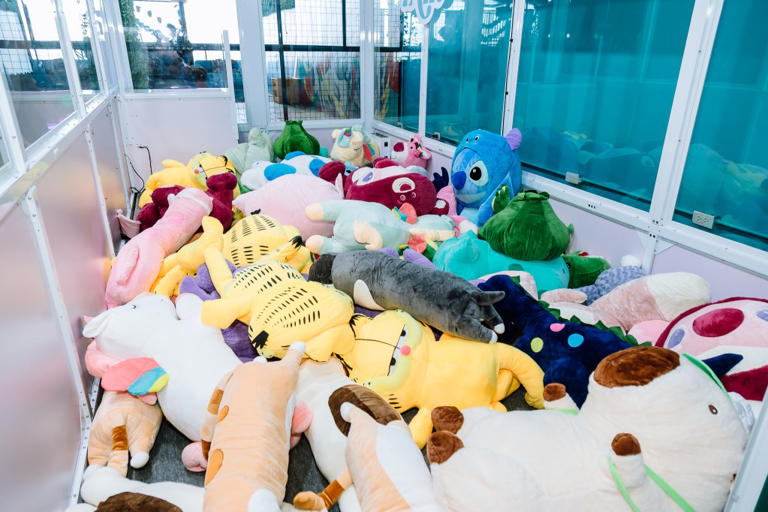 Popular arcade breaks Guinness World Record for world’s largest claw ...