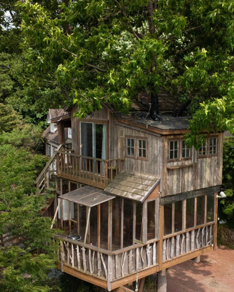 Stay in a tree house for adults at Surak Hyu, Seoul’s new forest retreat