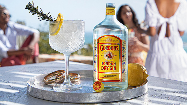 15 Popular Gin Brands, Ranked