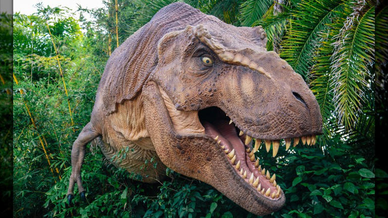 The Truth About What The Tyrannosaurus Rex Really Looked Like