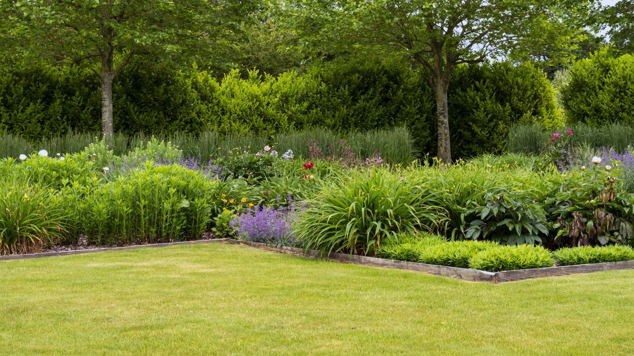 You can easily repel grubs by companion planting, and these are the 3 ...